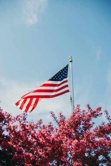 America Roe Photography – Canva