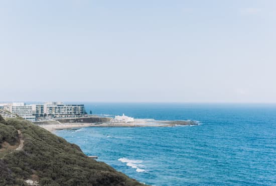 Dock Den Studio – Canva