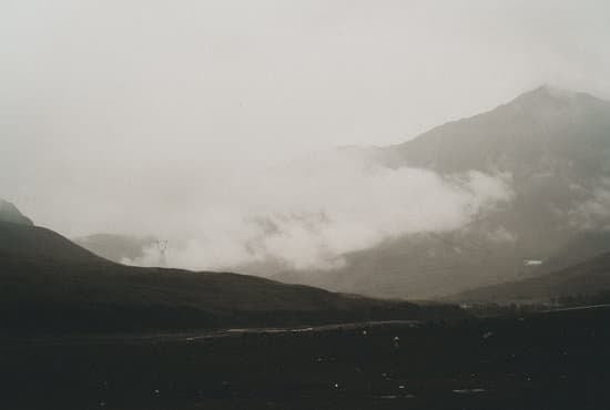 Dock Den Studio – Canva