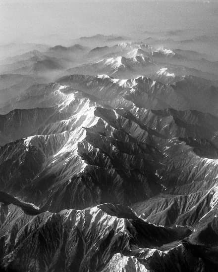 Dock Den Studio – Canva