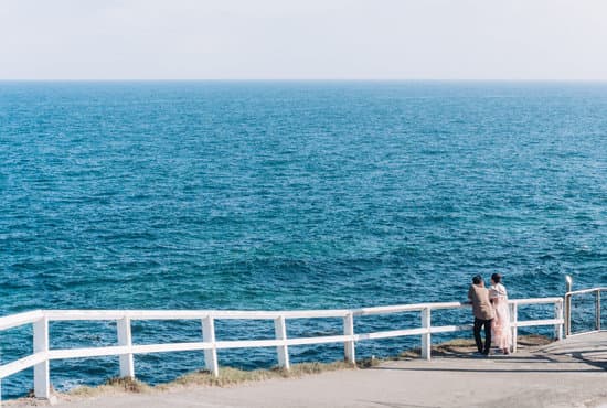 Dock Den Studio – Canva