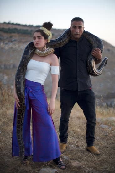 The Middle East Collection – Canva