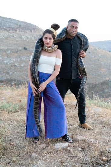 The Middle East Collection – Canva