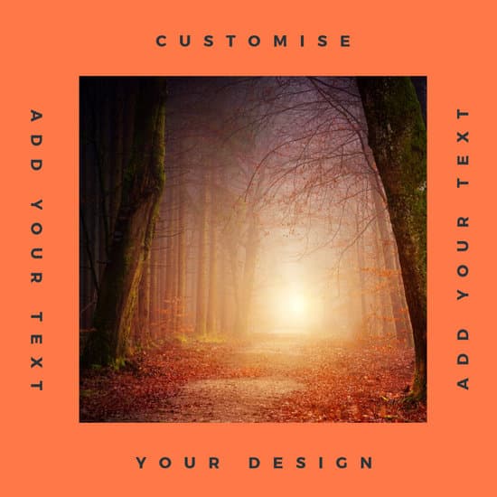 Nature Forest Trees - Free photo on Pixabay