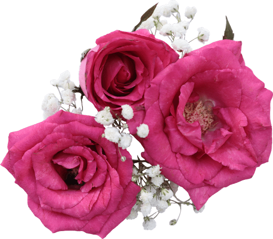 sparklestroke – Canva