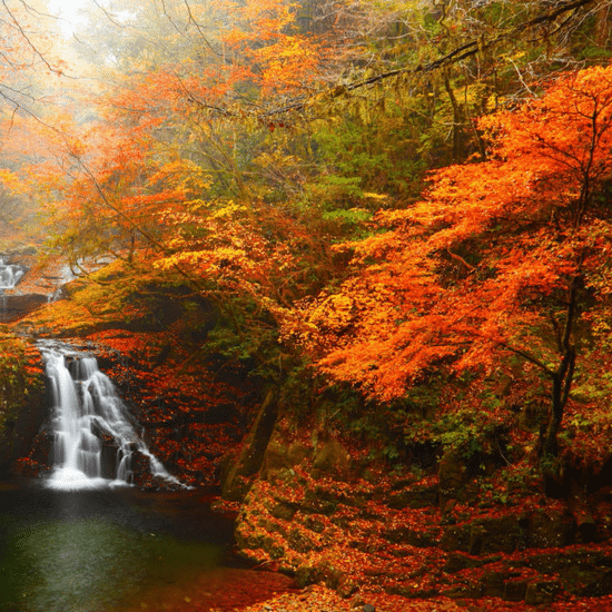 aimen anwar's Images – Canva