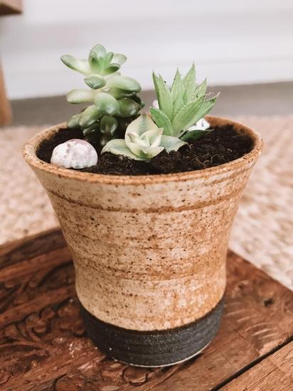 Nadia Key's Images – Canva