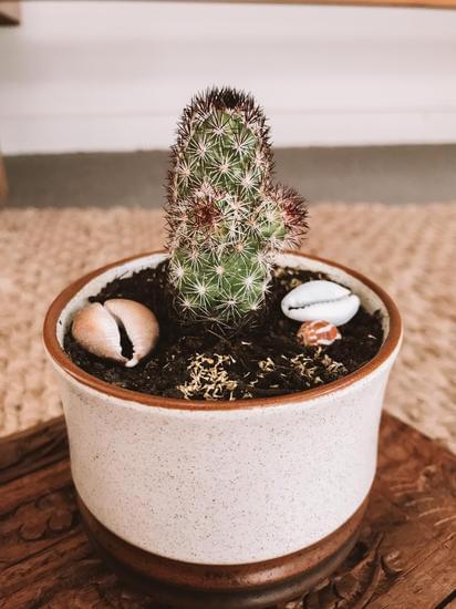 Nadia Key's Images – Canva