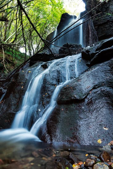 Imágenes de Luis Vidal – Canva