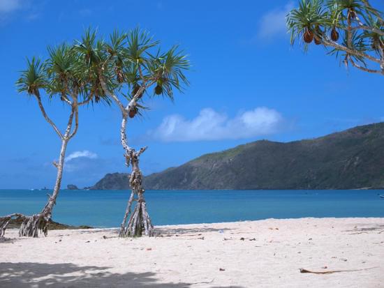 Indra Saputra Ahmadi – Canva