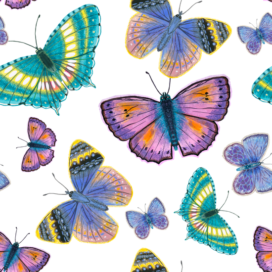 Colton Dadashian's Images – Canva