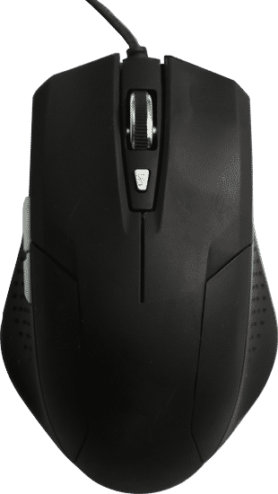 Canva Creative Studio – Canva