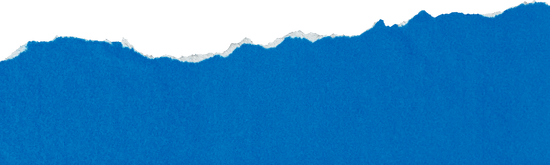 Dikas Studio – Canva