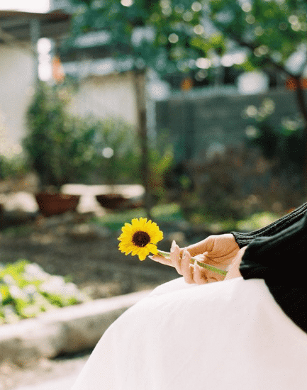 Flower picture – Canva