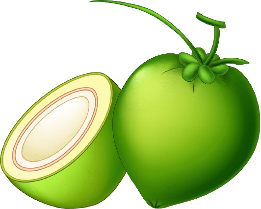 undaunted Images – Canva