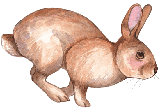 Kaoryn Chan's Images – Canva