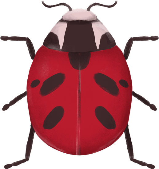 Jody Sweeney's Images – Canva