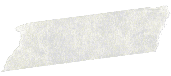 Canva Creative Studio – Canva