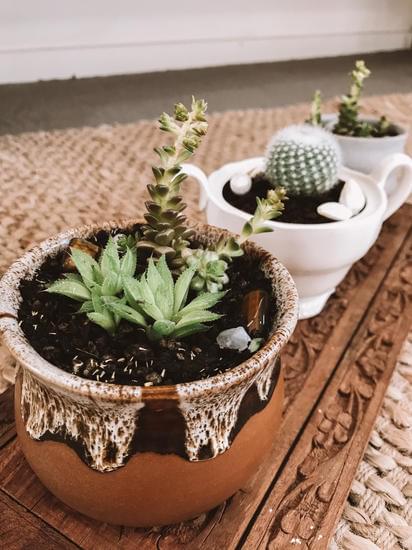 Nadia Key's Images – Canva