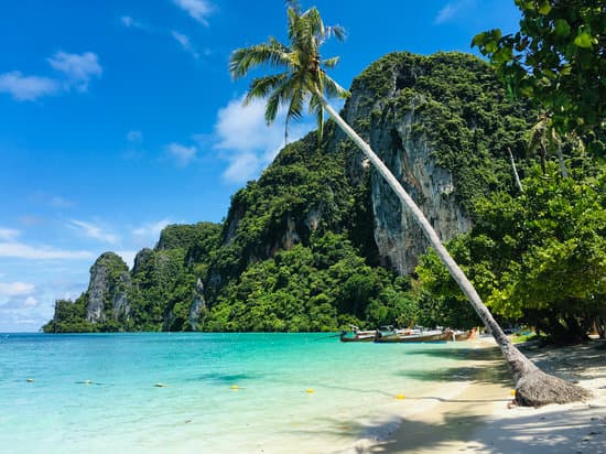 ภาพของDaarsan – Canva