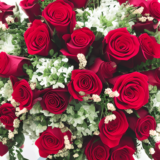 So Content Design – Canva