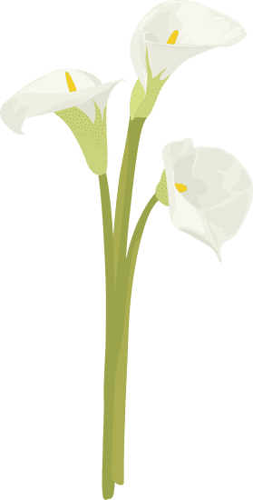 Print Bliss Creates – Canva