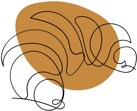 HR Singh's Images – Canva