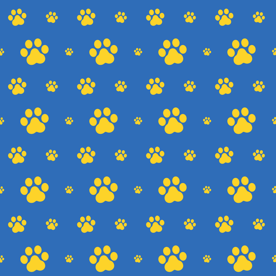 Cassit Floren's Images – Canva