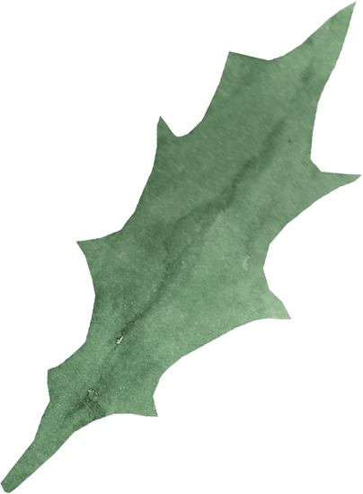 Natalia Plyashkevich – Canva