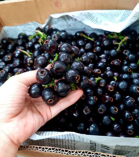 Reshiel Magsipoc Valle's Images – Canva