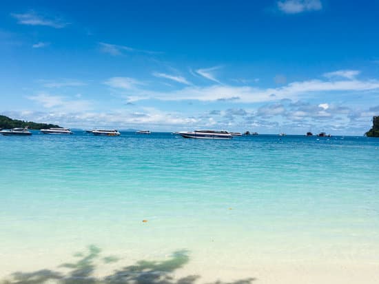 ภาพของDaarsan – Canva