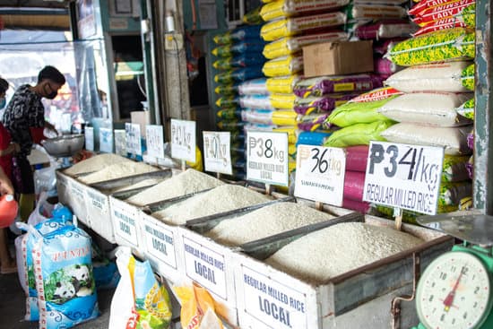 The Paul Ricafrente Collection – Canva