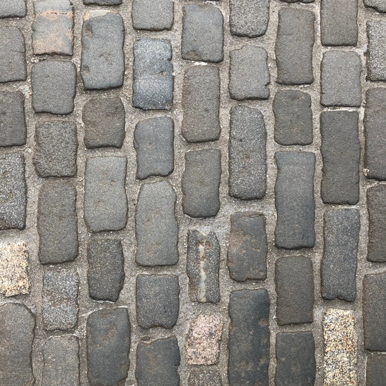 Pixel Phoenix Designs – Canva