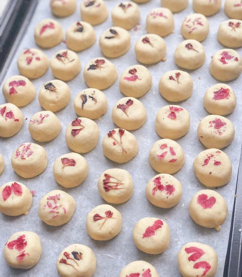 Hình ảnh của Lap Cola – Canva