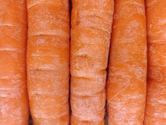 Imagens de Vanessa Holz Faller – Canva