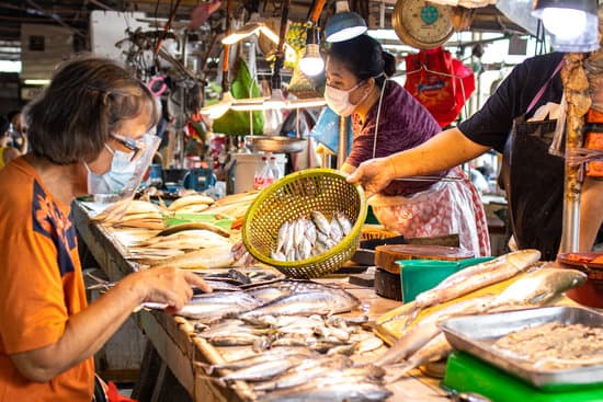 The Paul Ricafrente Collection – Canva