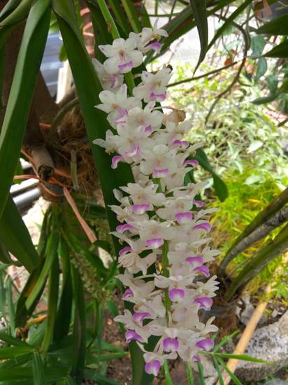 Gambar Yanida Budhiarti – Canva