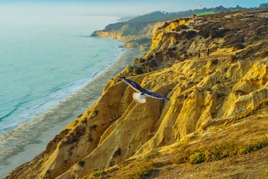 McClean Photography's Images – Canva