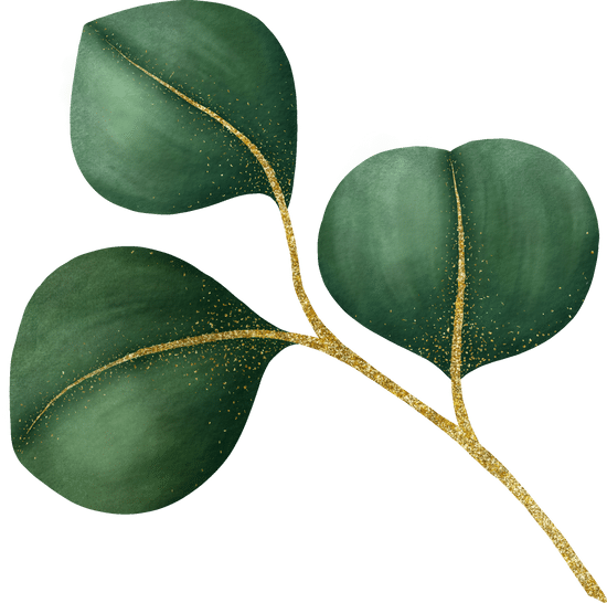 BEN&BEN design – Canva