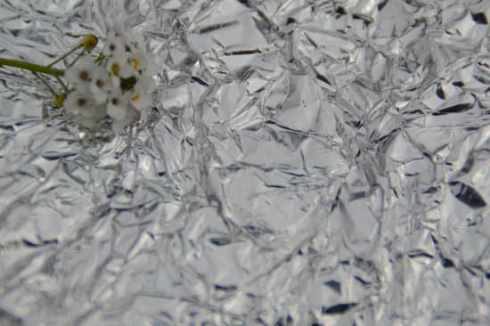 Veronica MOOS – Canva