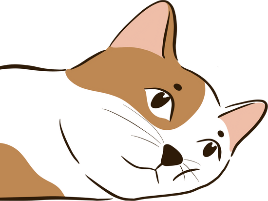 Cyrus Fong 的影像 – Canva