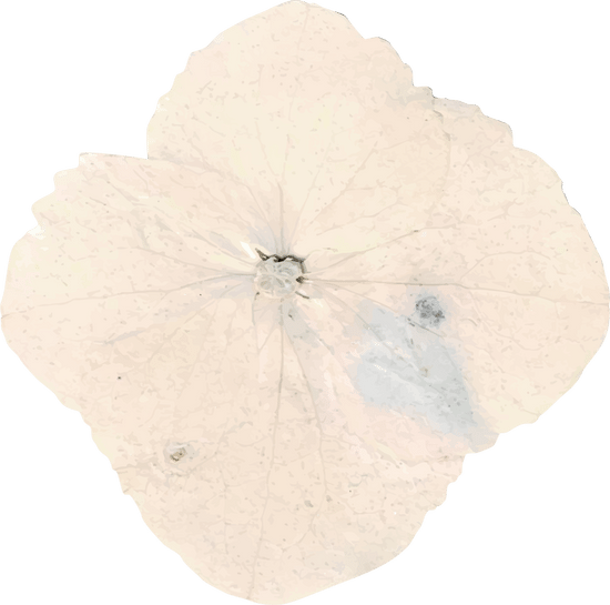 Dikas Design – Canva