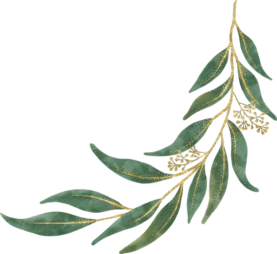 BEN&BEN design – Canva