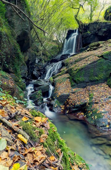 Imágenes de Luis Vidal – Canva