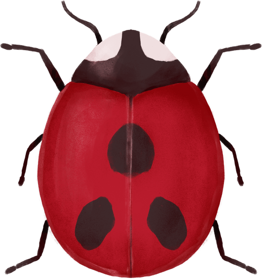 Jody Sweeney's Images – Canva