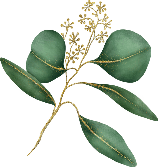 BEN&BEN design – Canva