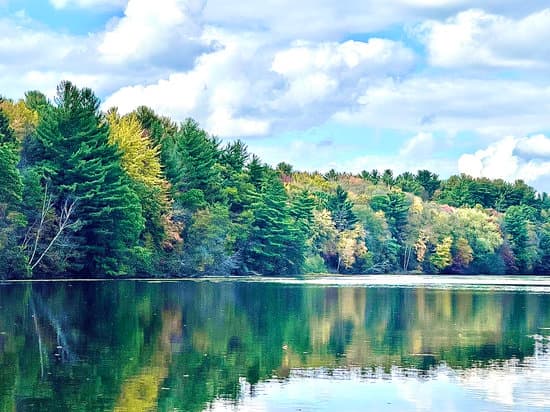 Jen Chicoine's Images – Canva