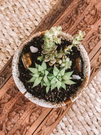 Nadia Key's Images – Canva