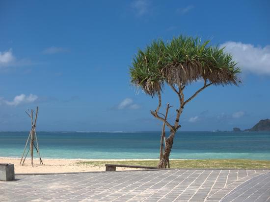 Indra Saputra Ahmadi – Canva