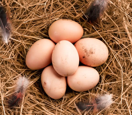 Изображения пользователя Inna Tarasenko – Canva